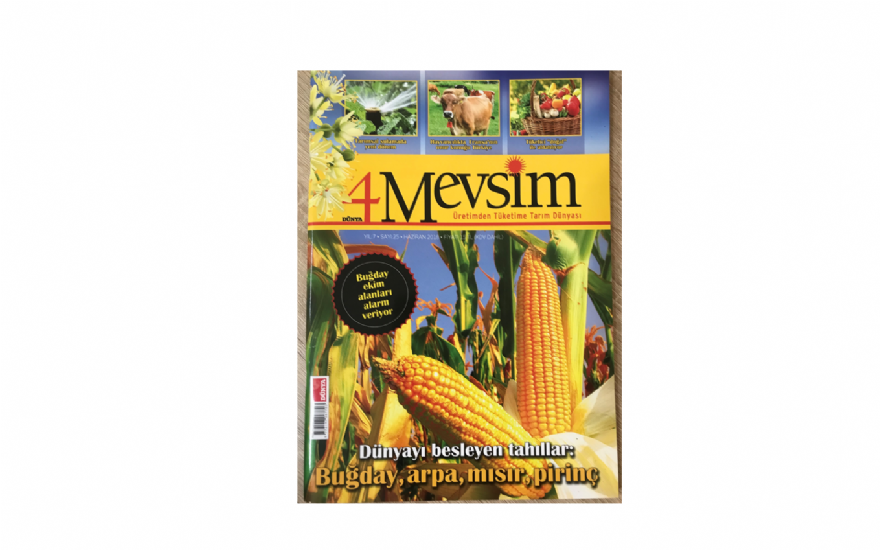 4 Mevsim