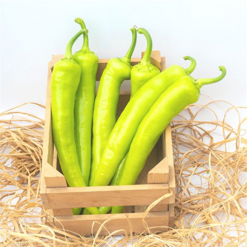 Taze Bahçeden Çarli Biber 1 Kg - gidatarimziraat.com.tr