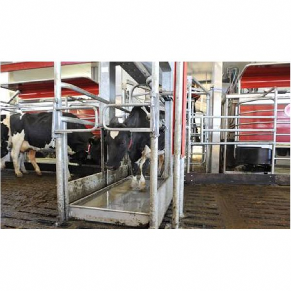 Lely Lely Walkway - gidatarimziraat.com.tr