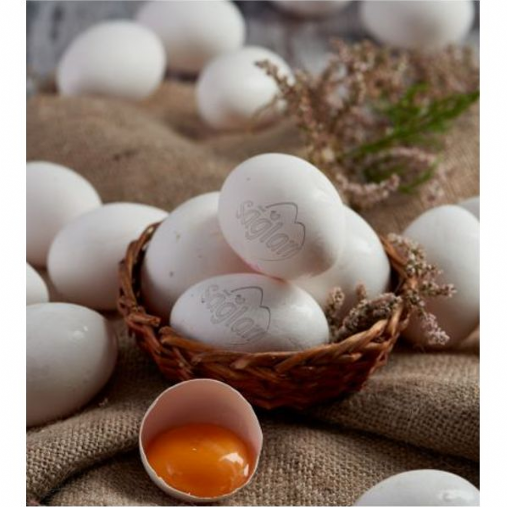 Gezen Tavuk Yumurtası 15li - gidatarimziraat.com.tr